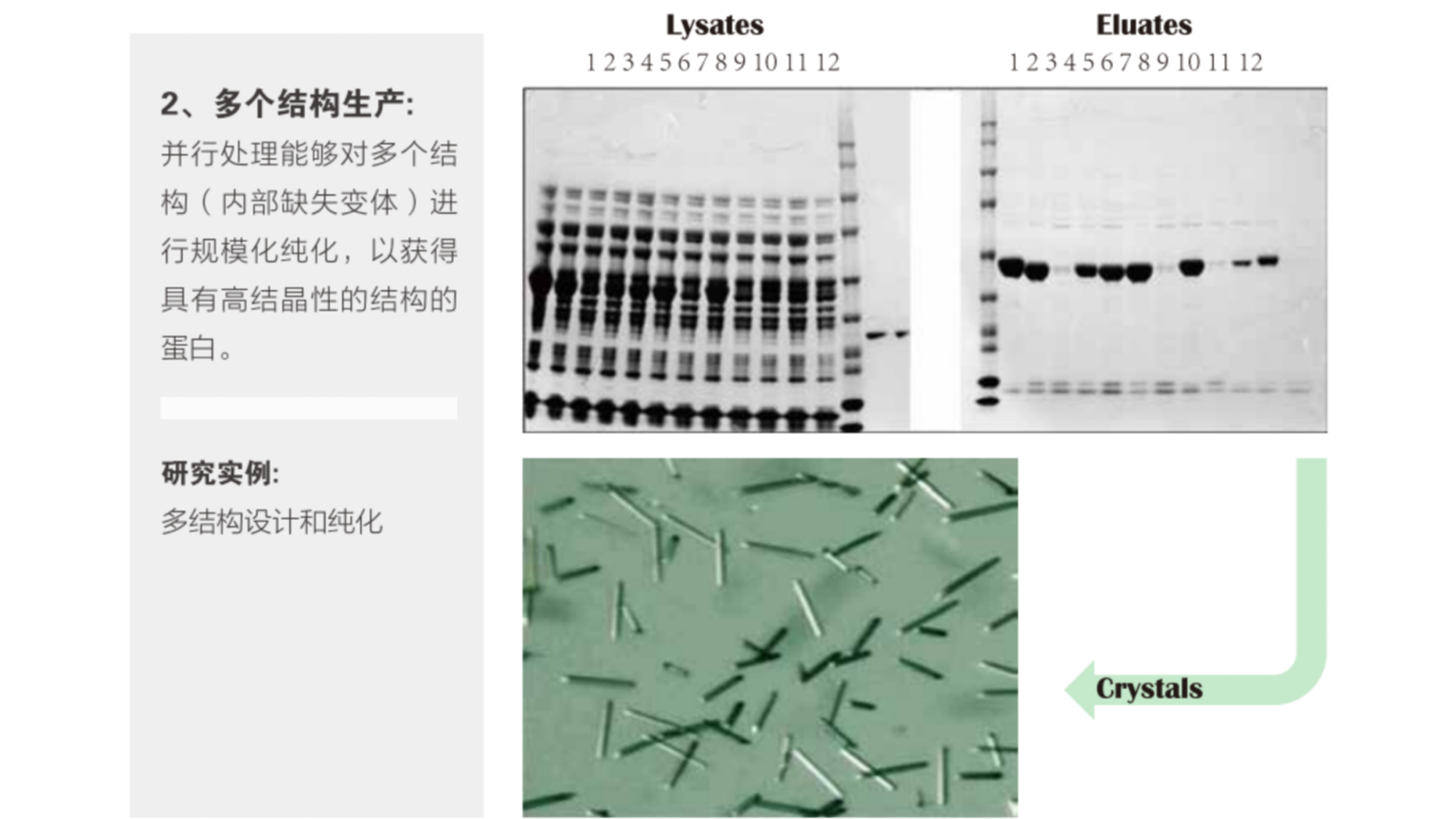 Protein Maker高通量蛋白纯化系统 | Biokingdom