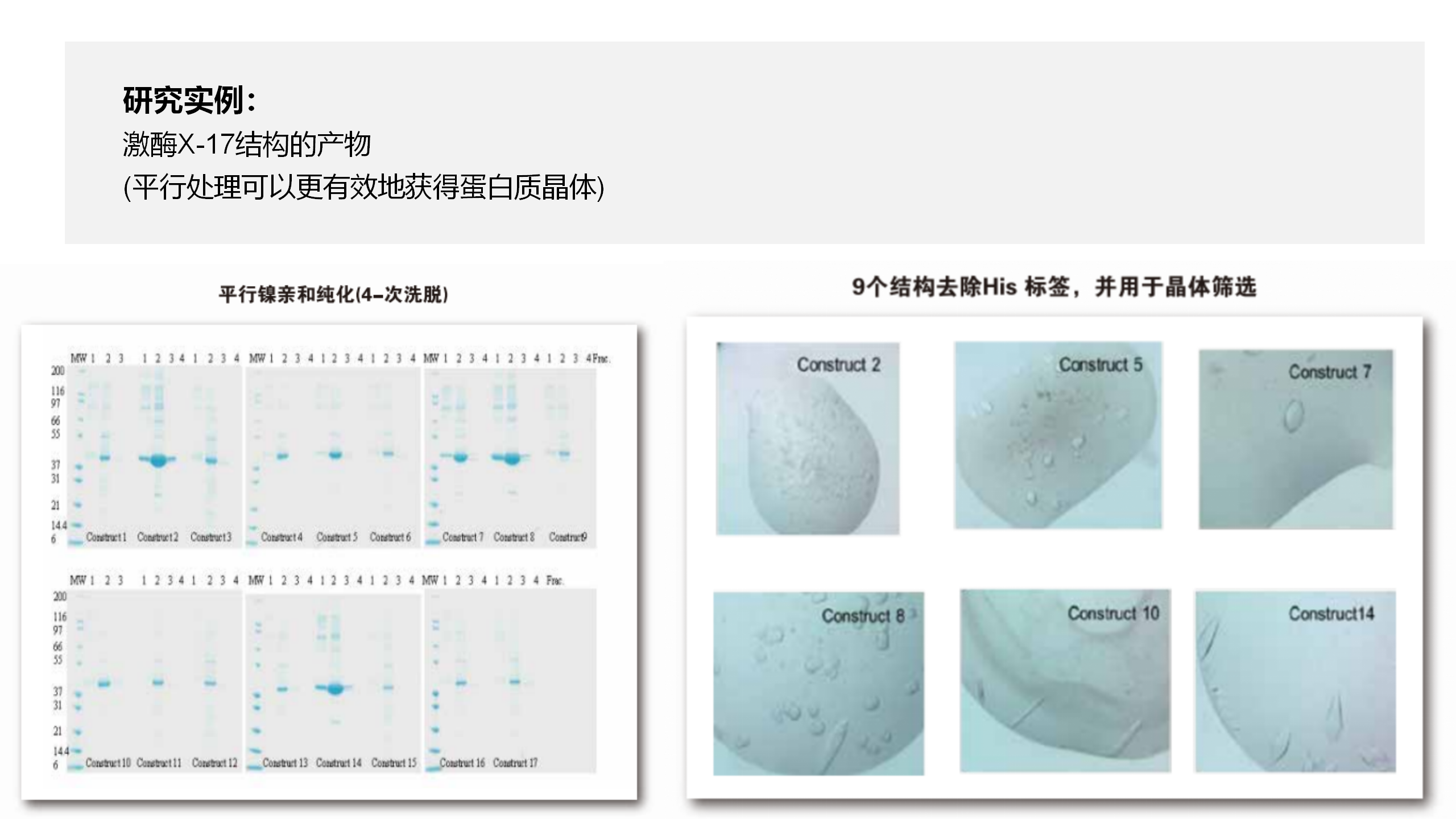 Protein Maker高通量蛋白纯化系统 | Biokingdom