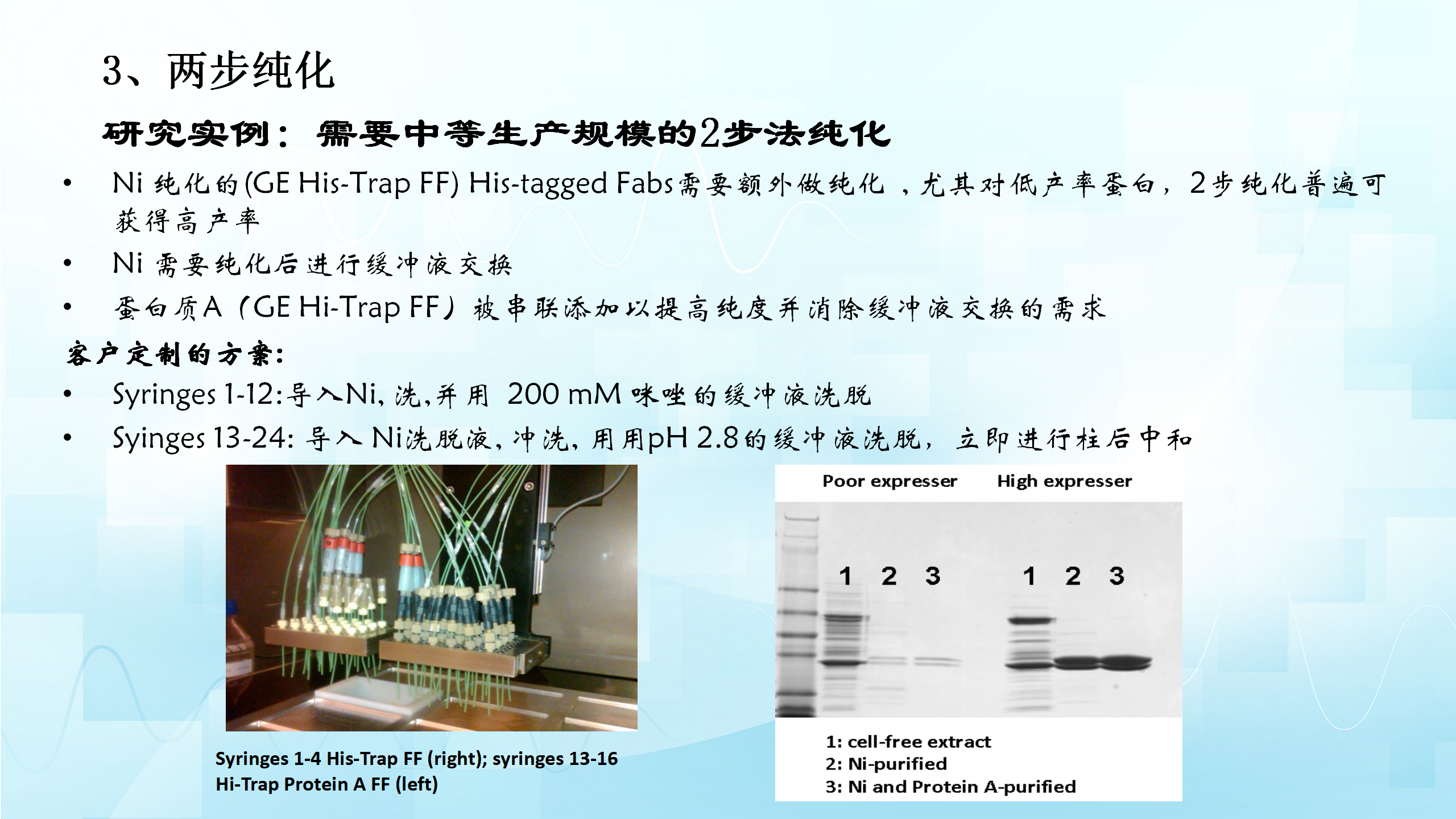 Protein Maker高通量蛋白纯化系统 | Biokingdom