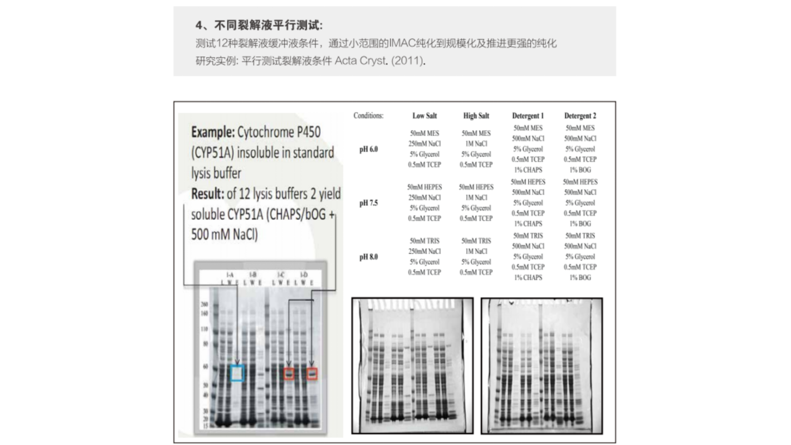 Protein Maker高通量蛋白纯化系统 | Biokingdom