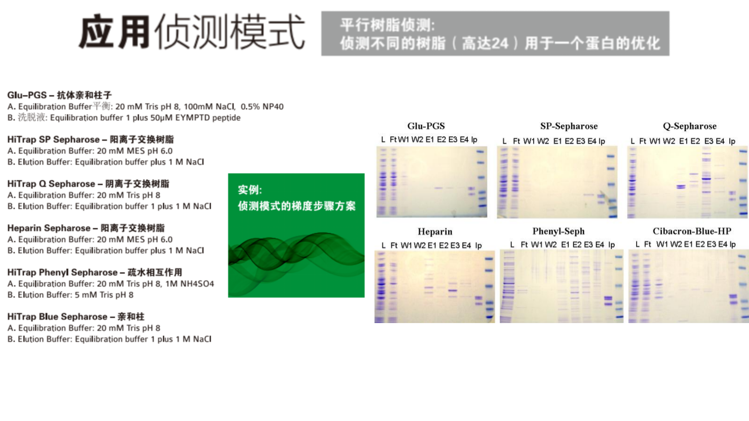 Protein Maker高通量蛋白纯化系统 | Biokingdom